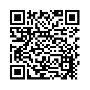 新华社评论员：共同推动构建更加公正合理的全球治理体系——四论推动中俄关系实现更高质量发展-新华网