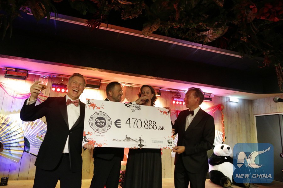Panda Gala at Dutch zoo raises half million euros for panda ...