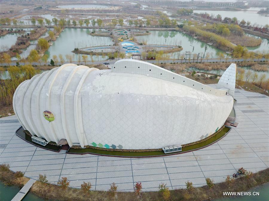 In pics: fish-shaped aquarium in east China's Jiangsu - Xinhua ...