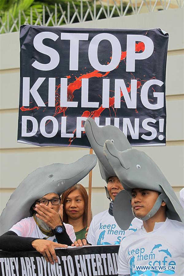 In pics: protest against Taiji dolphin hunt in Pasay City, Philippines ...