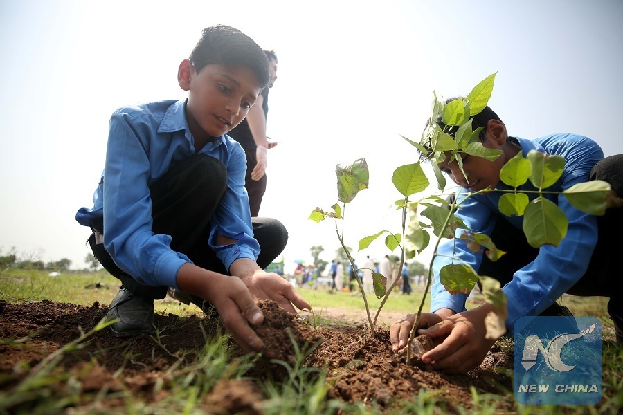 Pakistan Planting Trees at Christy Nathan blog
