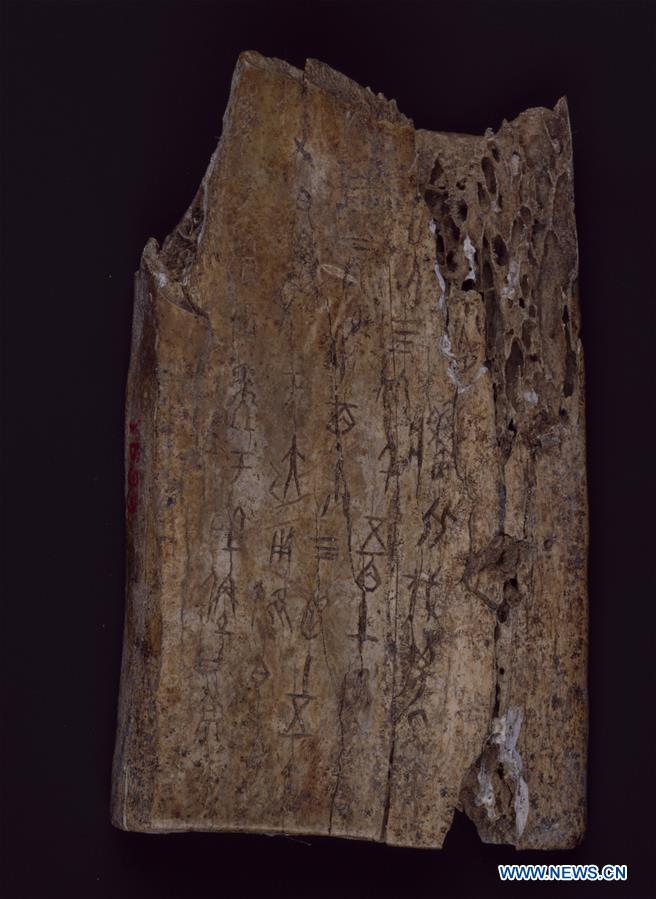 China to start commemorating 120th anniversary of oracle bone ...