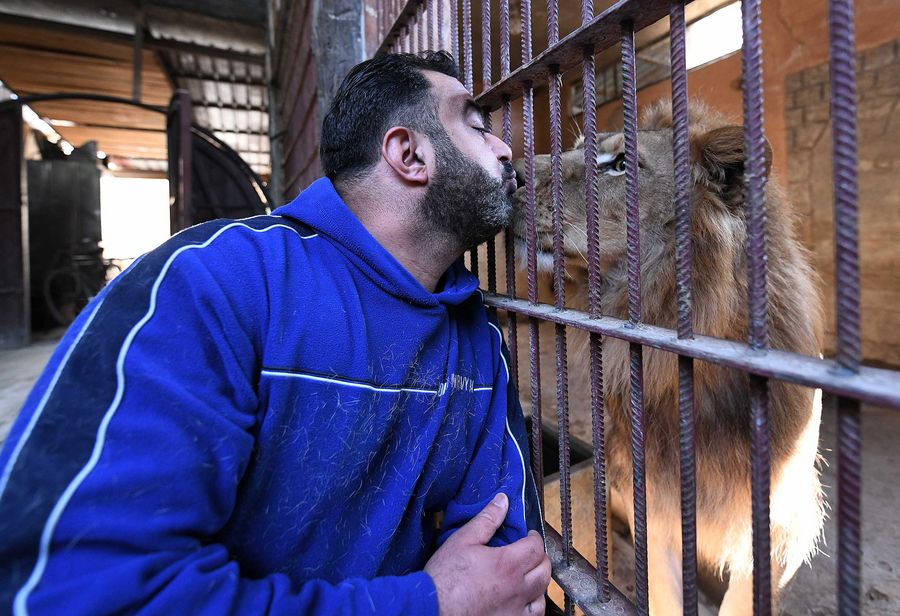 Feature: Syrian animal lover aspires to develop best zoo in Syria ...