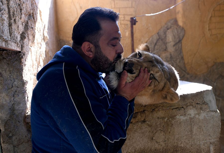 Feature: Syrian animal lover aspires to develop best zoo in Syria ...