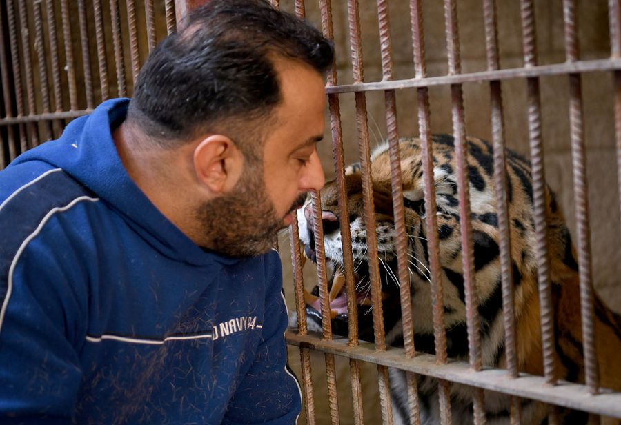 Feature: Syrian animal lover aspires to develop best zoo in Syria ...