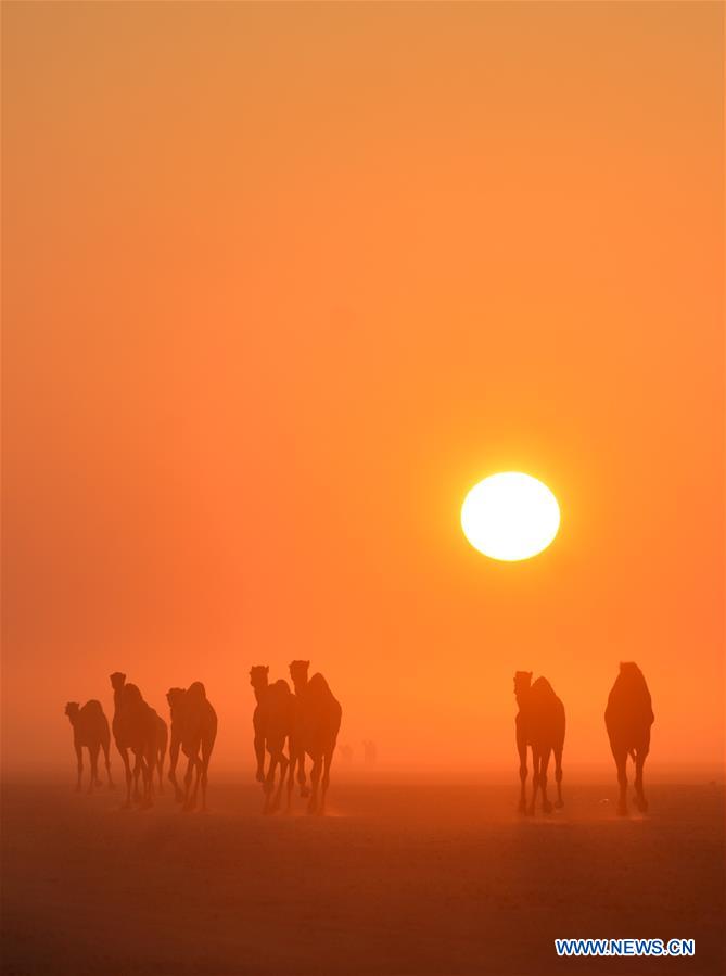 Scenery of desert during sunrise in Jahra Governorate, Kuwait - Xinhua ...