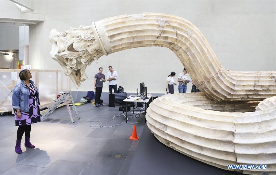 Xu Zhen's 14 works to be exhibited at National Gallery of Australia ...