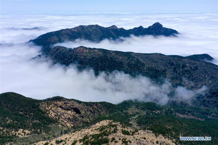 Scenery of Wuyishan National Park in Fujian - Xinhua | English.news.cn