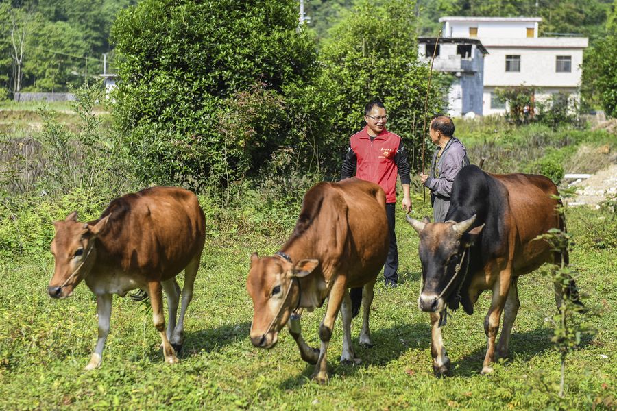 Commentary: May Fourth spirit inspires China to advance - Xinhua ...