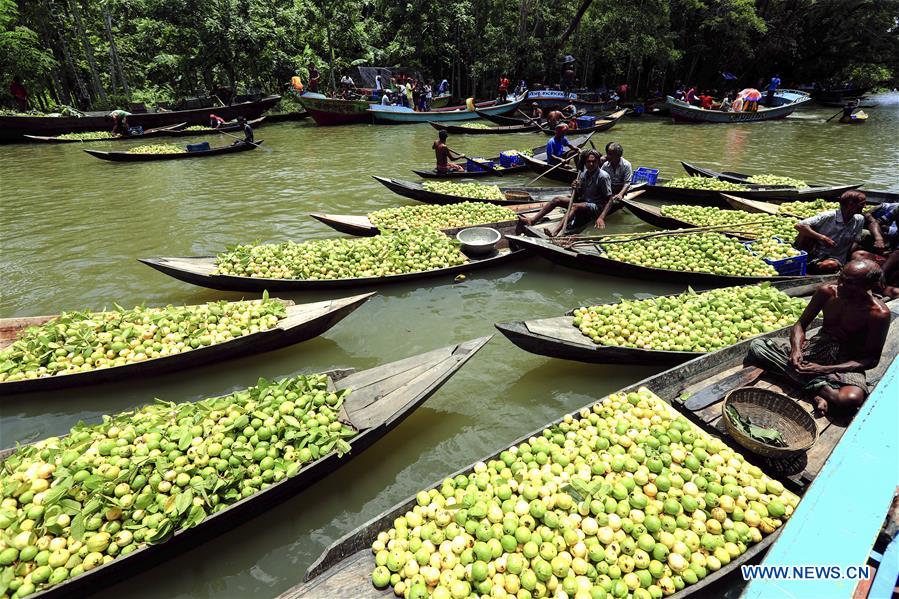 In pics: floating guava market in Barisal, Bangladesh - Xinhua ...