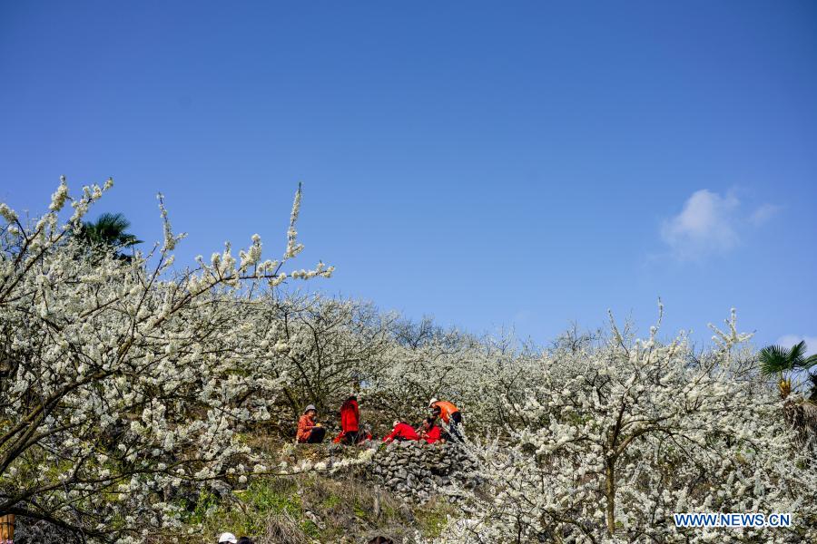 People view early spring scenery at Yinhe Village in Chongqing - China ...