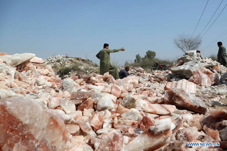 Pakistan Salt