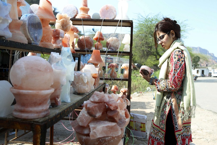 Pakistan gearing up to trademark Himalayan pink salt to boost exports ...