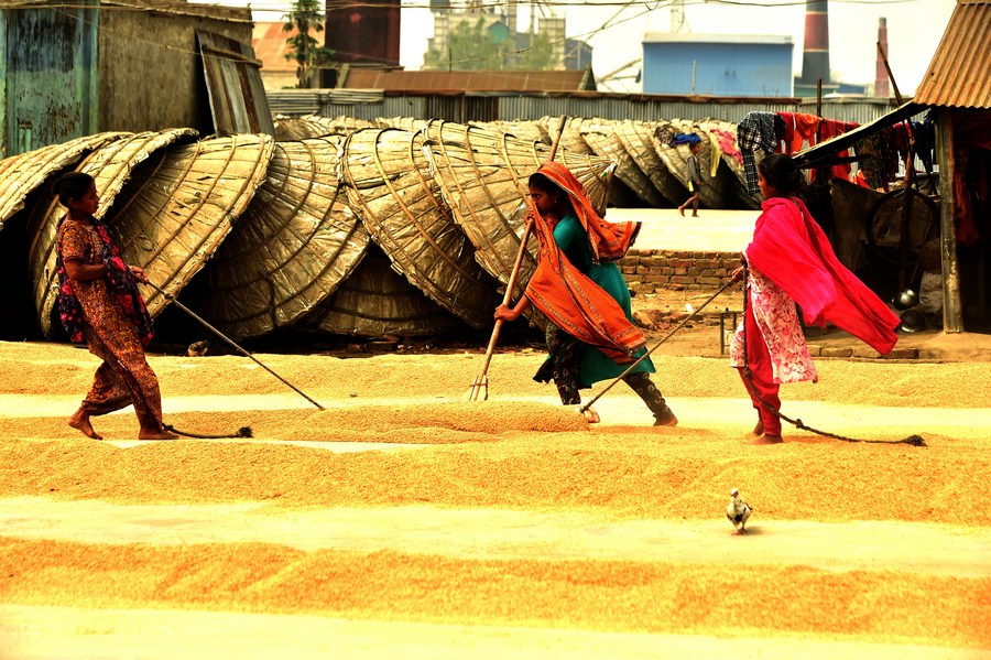 Inside A Rice Mill