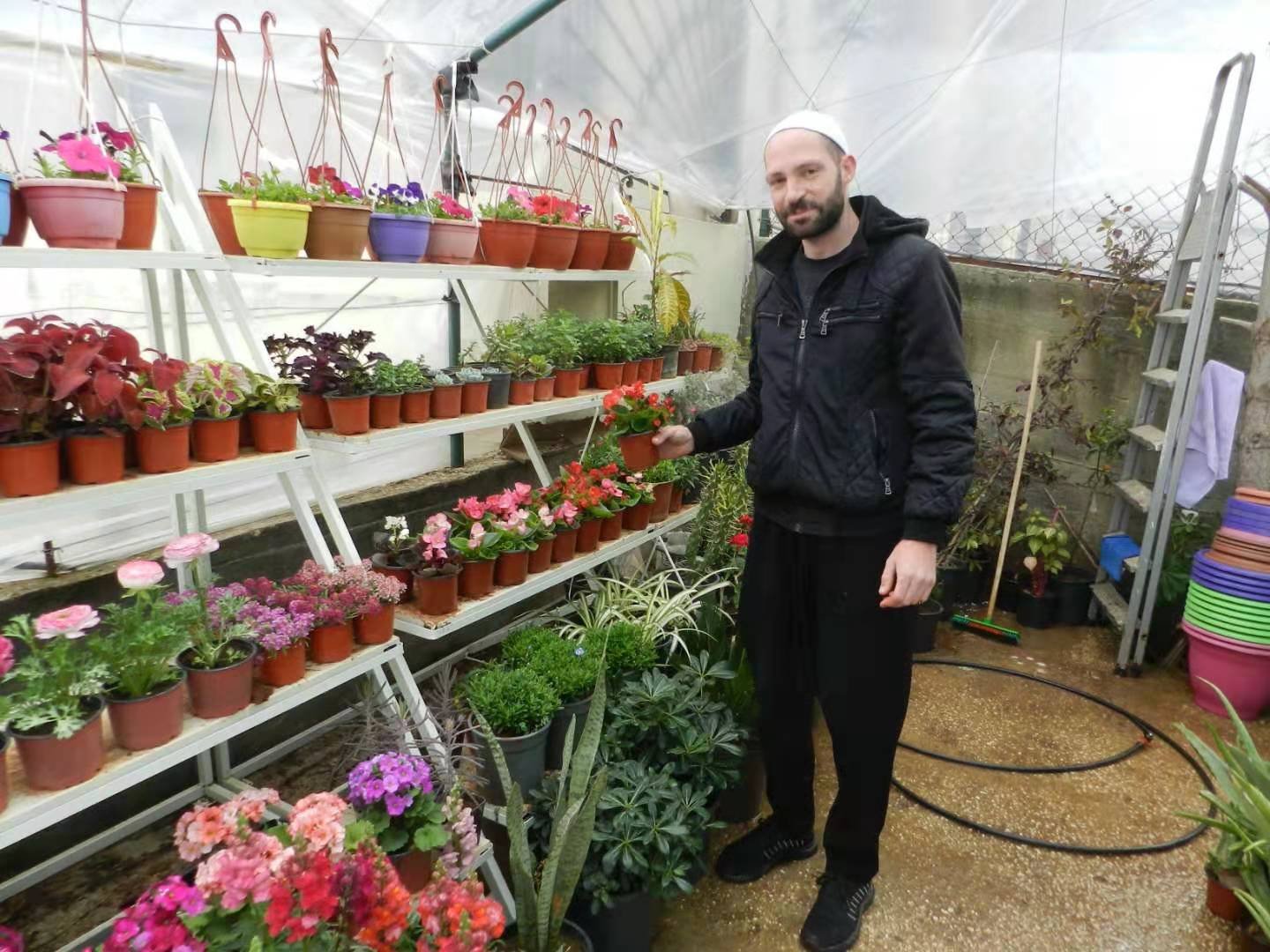 National Flower Of Lebanon | Best Flower Site