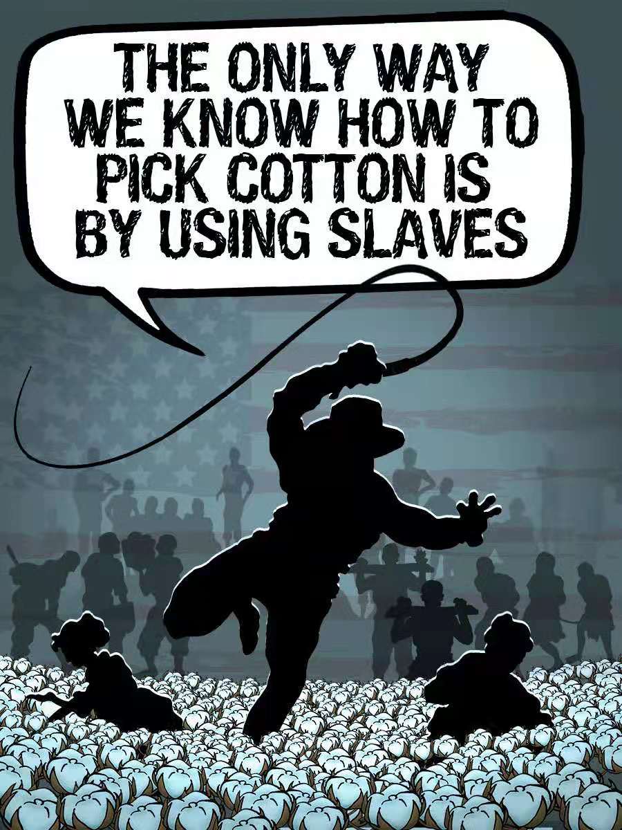 Slaves Picking Cotton