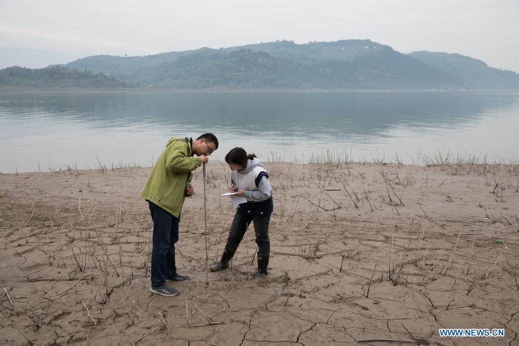 Chinese researchers conduct environment study in Three Gorges Reservoir ...