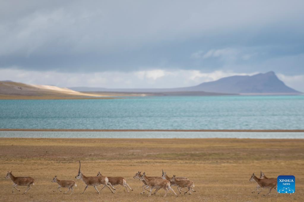Changtang Plateau, key area of inland lakes in China - Xinhua