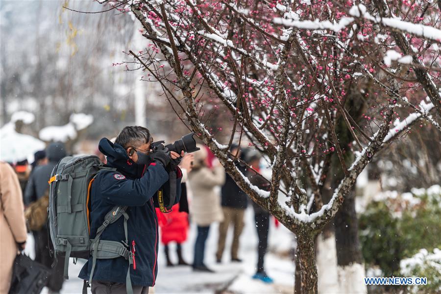 Snow scenery of Guanshan Lake Park in Guiyang City, SW China - Xinhua ...