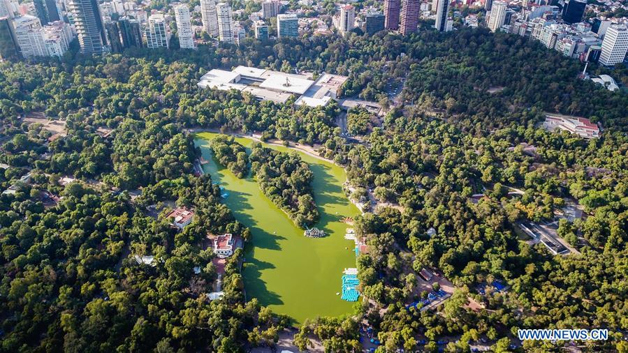 Bosque De Chapultepec