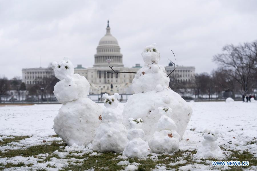 Animals Made Of Snow