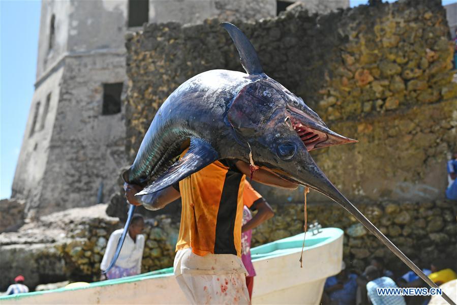Somalia Fish