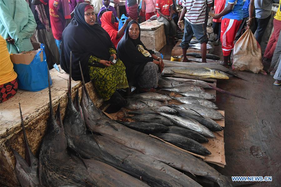 Somalia Fish