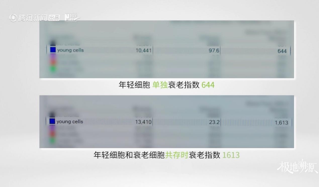 从漠河白桦林到工厂实验室，《极地溯源》记录国货美妆向上发展之路-新华网