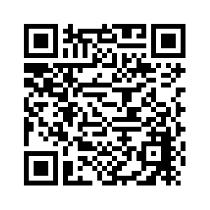 公安部：依法严打涉税犯罪 立案侦办8400余起案件-新华网