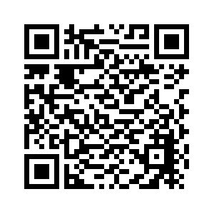 公安部网安局公布5起打击“银狐”木马病毒典型案例-新华网
