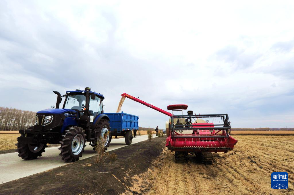 黑龙江北大荒：无人驾驶机车秋收“显身手”-新华网