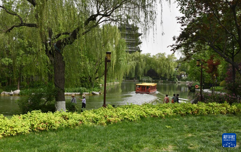 济南大明湖“见湖透绿”-新华网