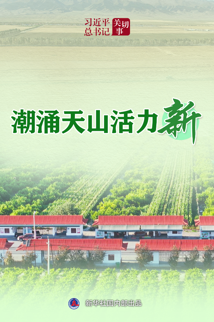 习近平总书记关切事丨潮涌天山活力新-新华网