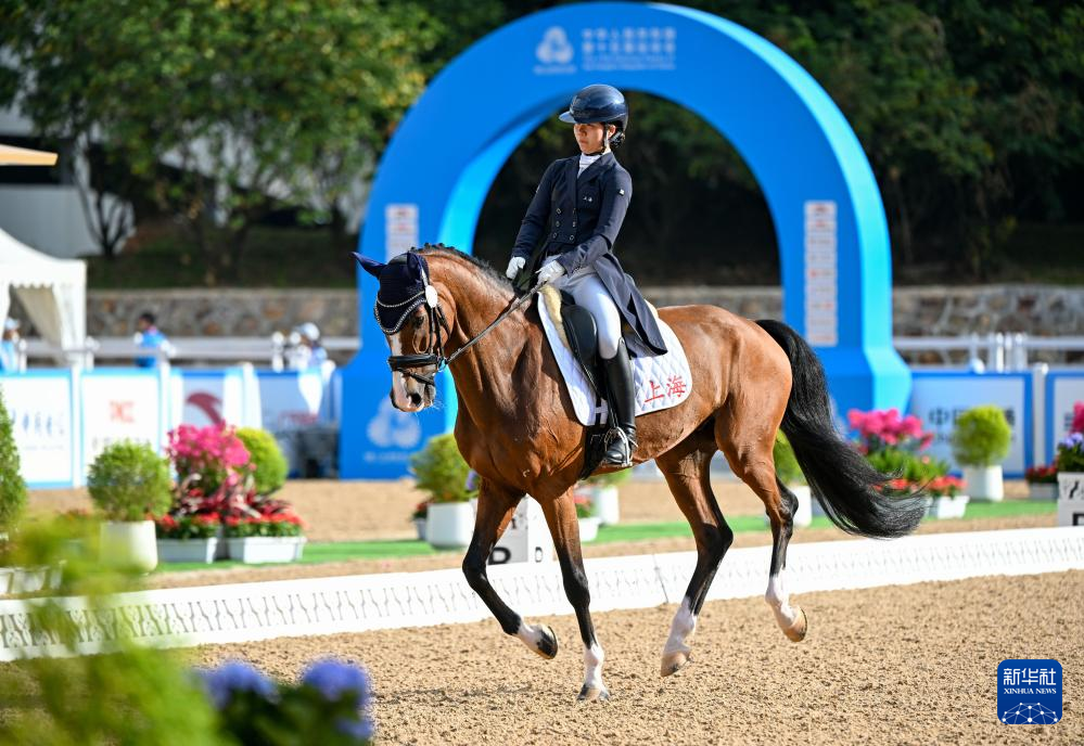 全运会丨马术——上海队获盛装舞步团体赛冠军_第十五届全国运动会_新华网