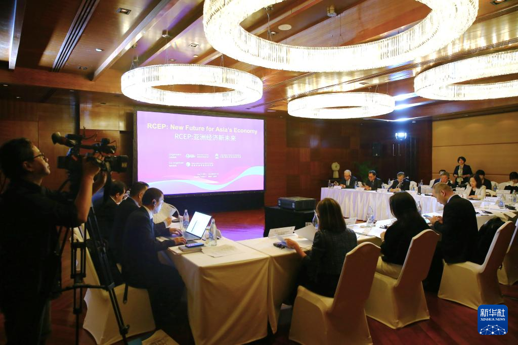 “RCEP：亚洲经济新未来”研讨会聚焦高水平共建RCEP区域大市场-新华网