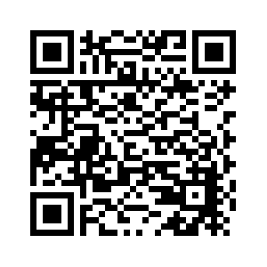 李鸿忠会见德国联盟党代表团-新华网